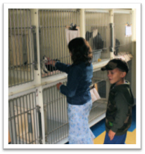 Iosco County Animal Shelter