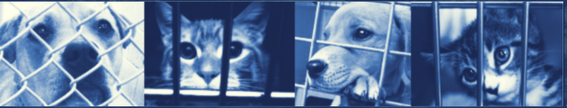 Iosco County Animal Shelter