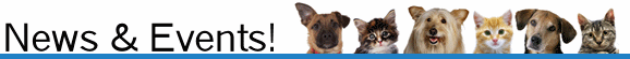 Iosco County Animal Shelter